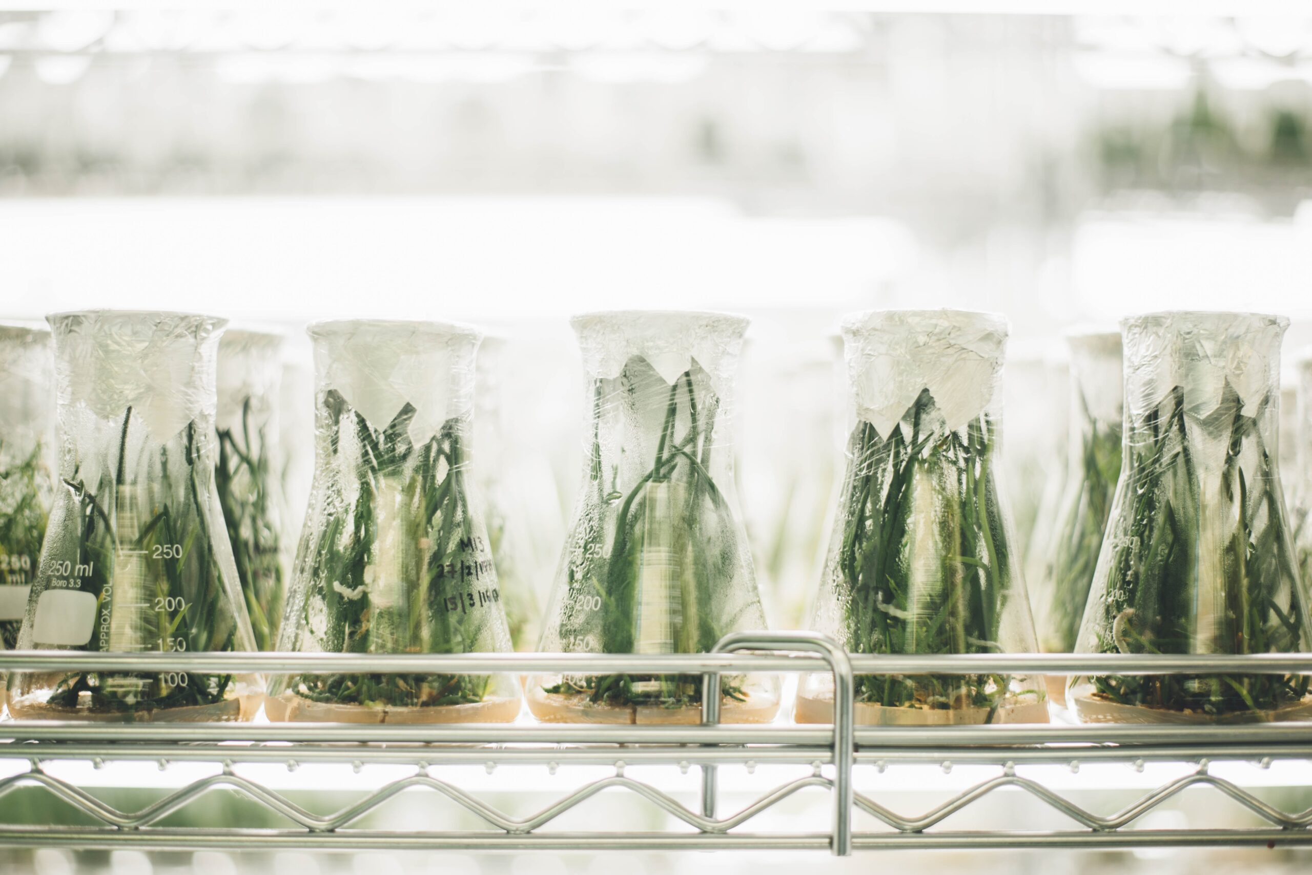 Alternative Approaches to Sustainable Food Production | Cleantech Group